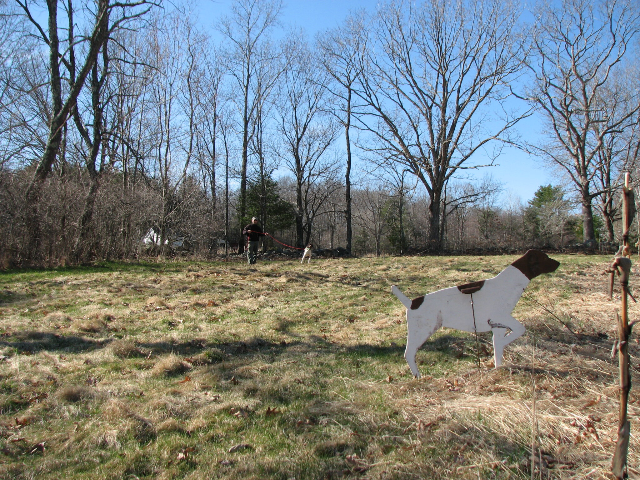 Dog Training – Quail Ridge Kennels