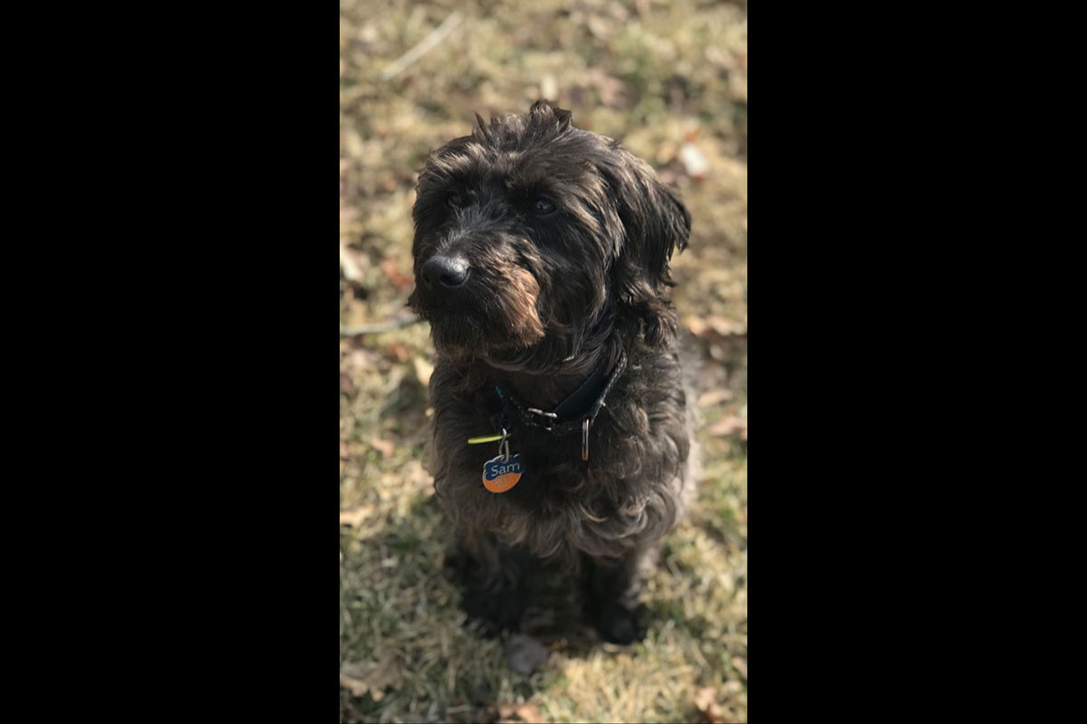 Nancy’s Grooming & Boarding – Quail Ridge Kennels